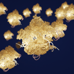 Bravo Lab – Institute of Science and Technology Austria