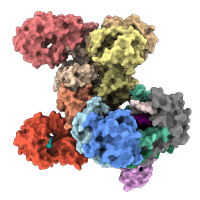 Contact – Bravo Lab