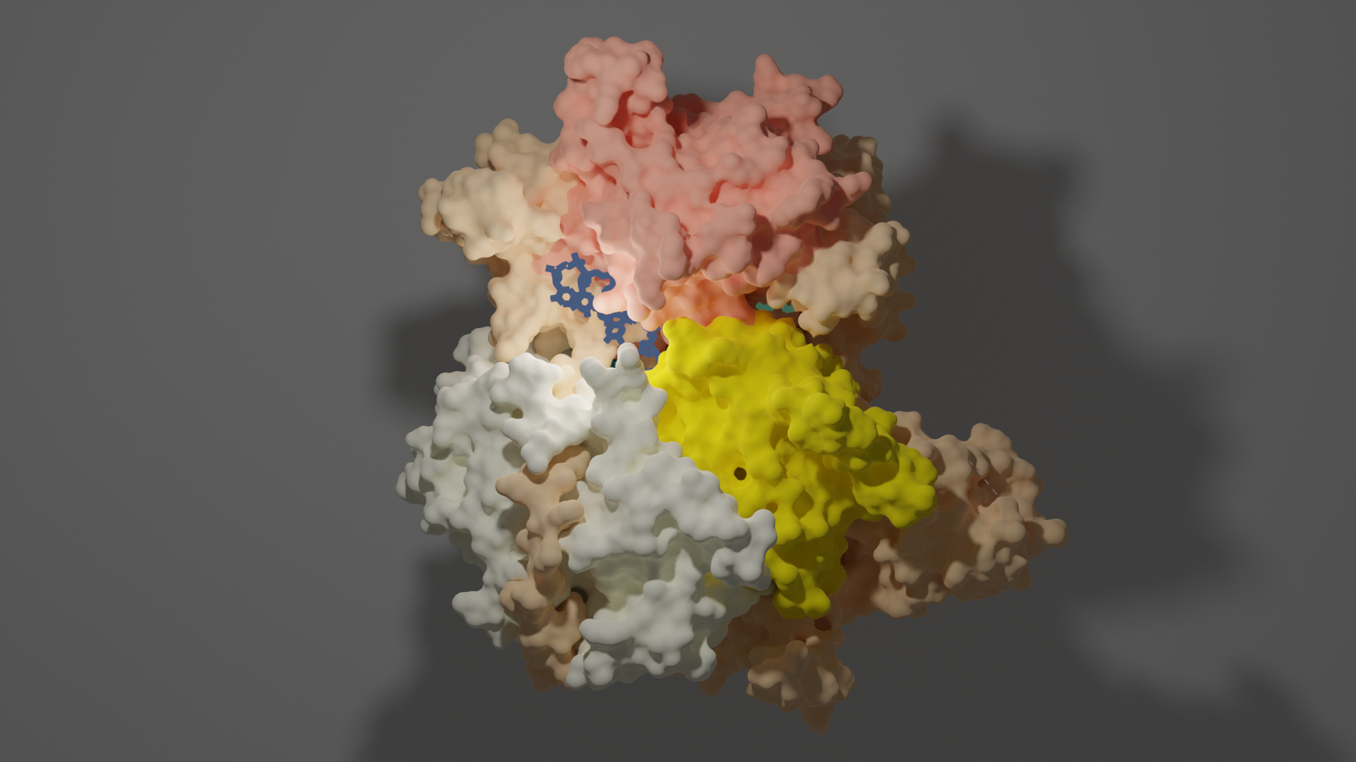 Bravo Lab – Institute of Science and Technology Austria