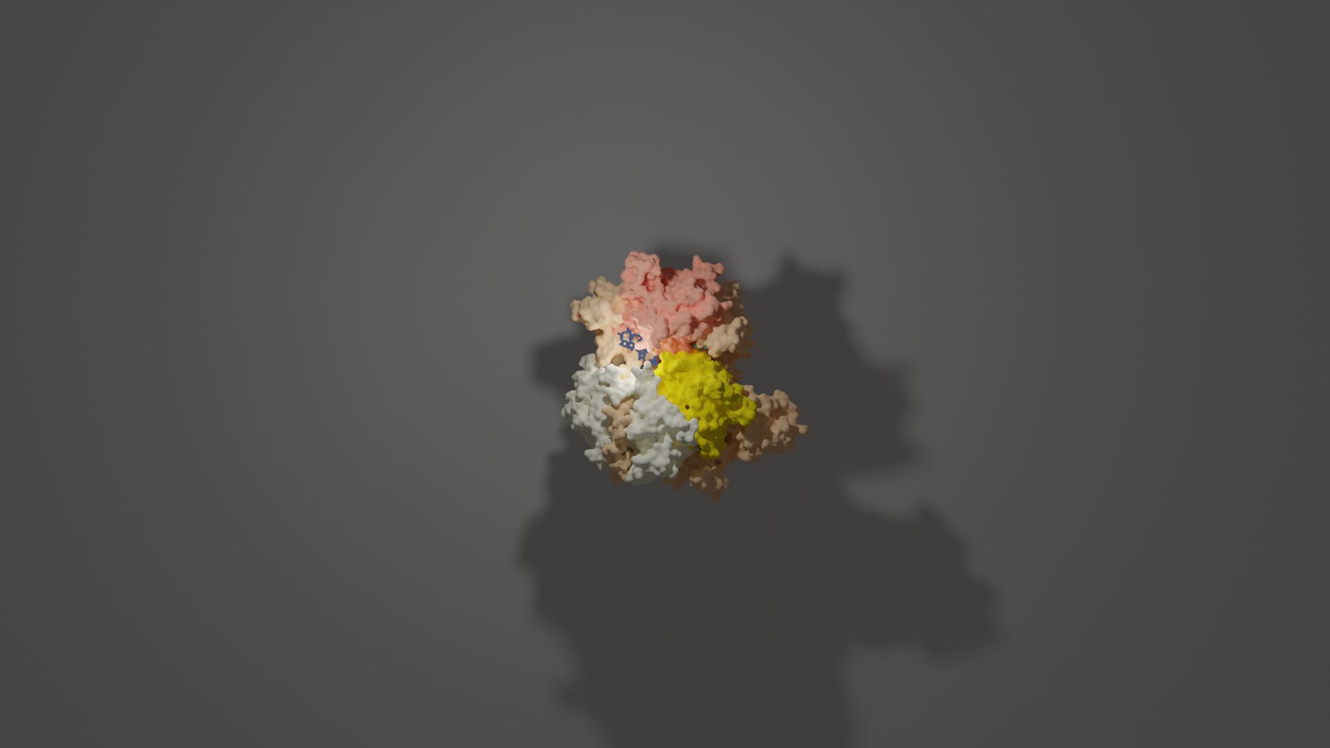 Bravo Lab – Institute of Science and Technology Austria