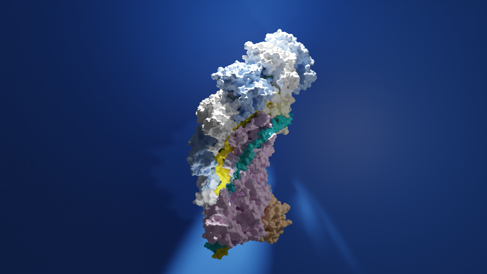 Bravo Lab – Institute of Science and Technology Austria