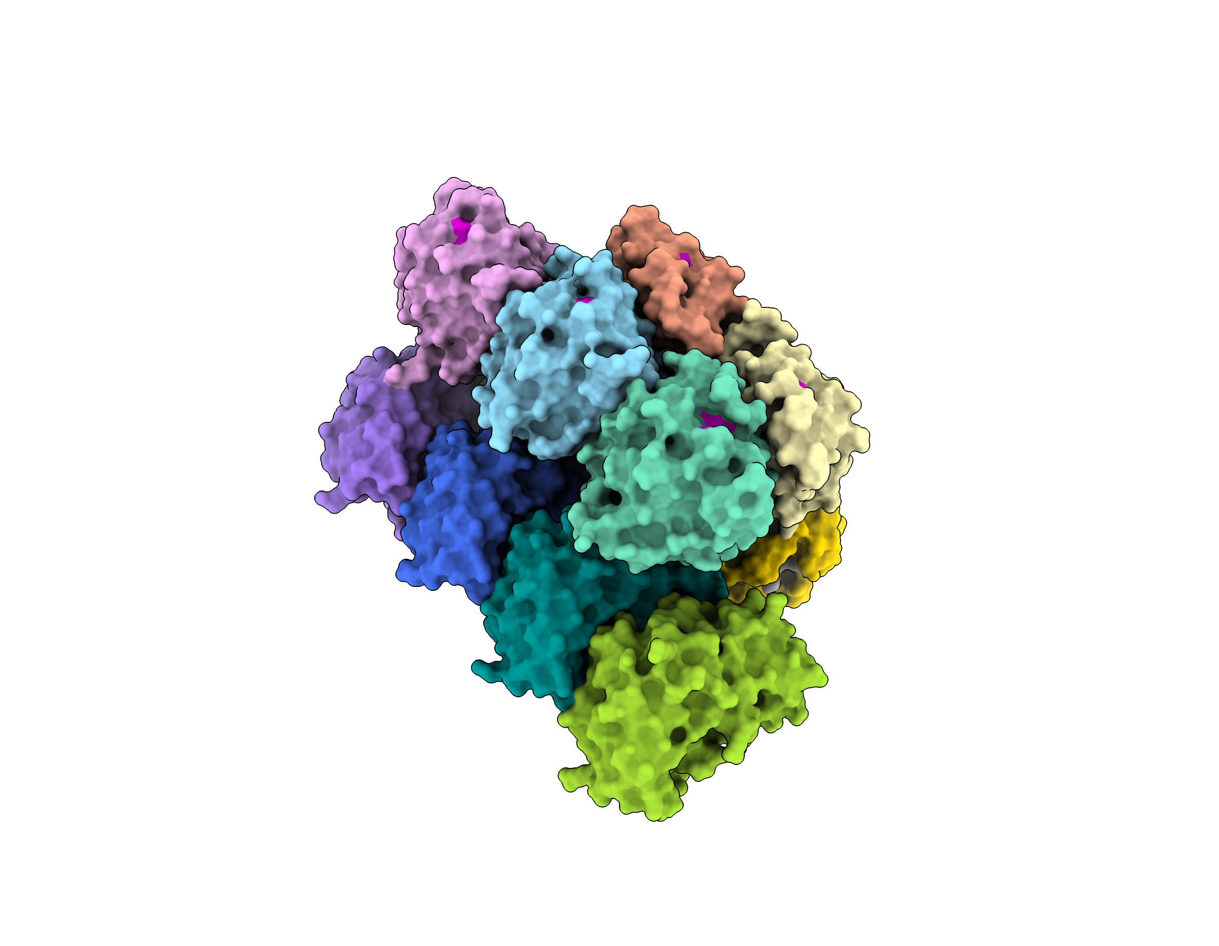 Research – Bravo Lab