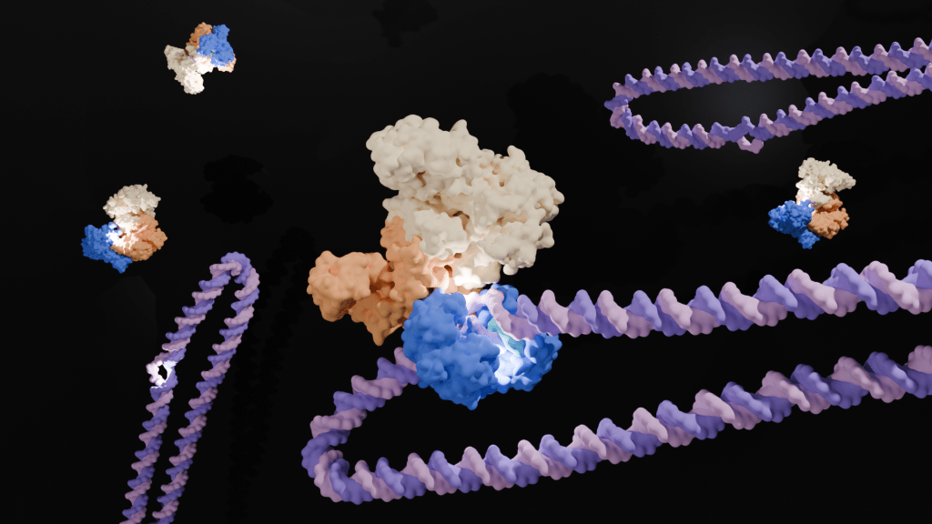 Bravo Lab – Institute of Science and Technology Austria